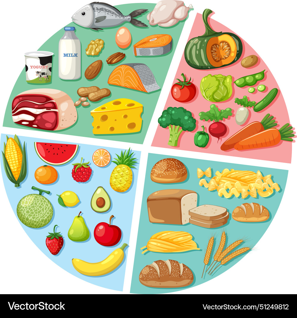 Various healthy food items in segments Royalty Free Vector