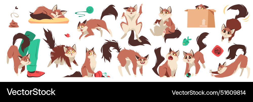 Cartoon cat in different mood pets behavior Vector Image