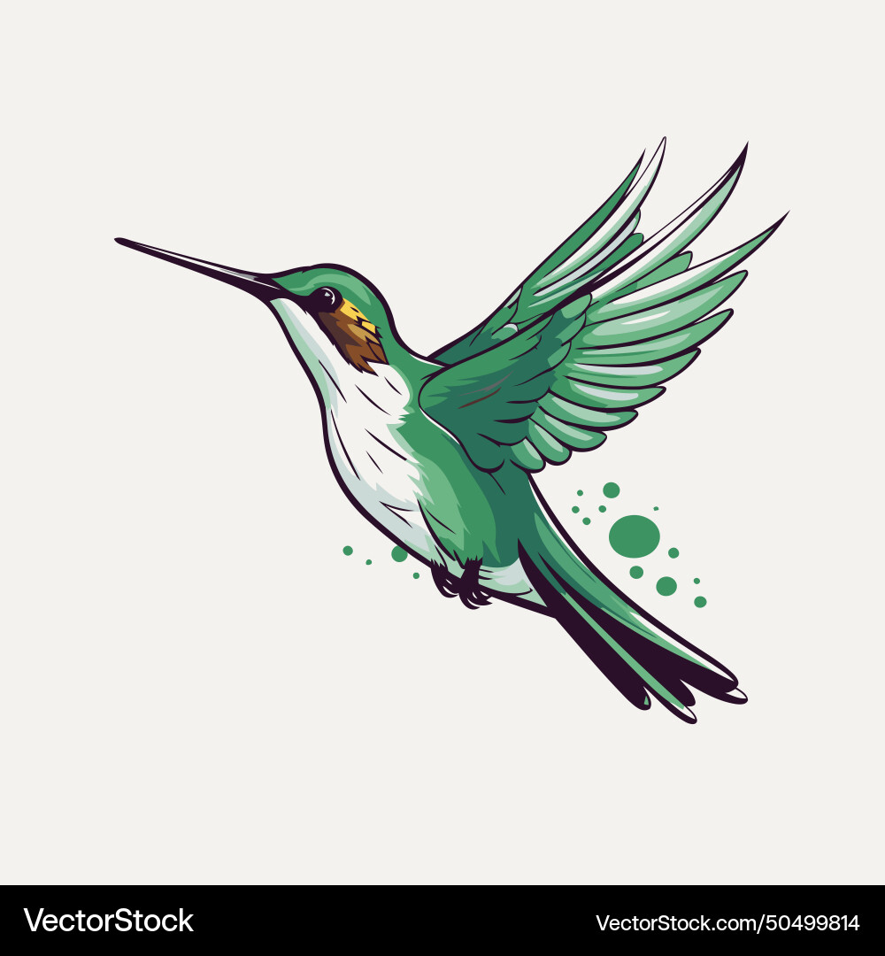 Hummingbird hand drawn with wings Royalty Free Vector Image