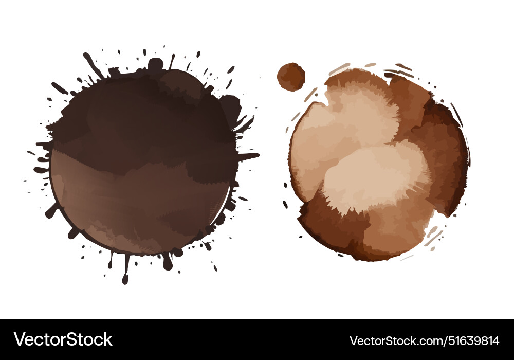 Splatter ink dirt stain brown brush paint Vector Image