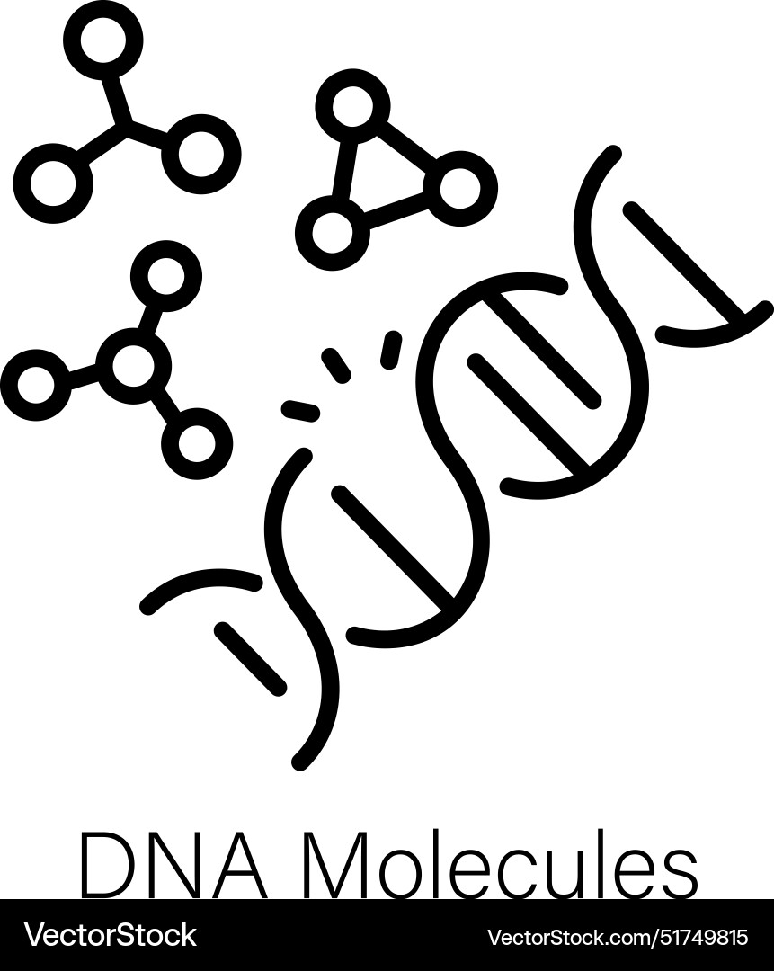 Dna molecules Royalty Free Vector Image - VectorStock
