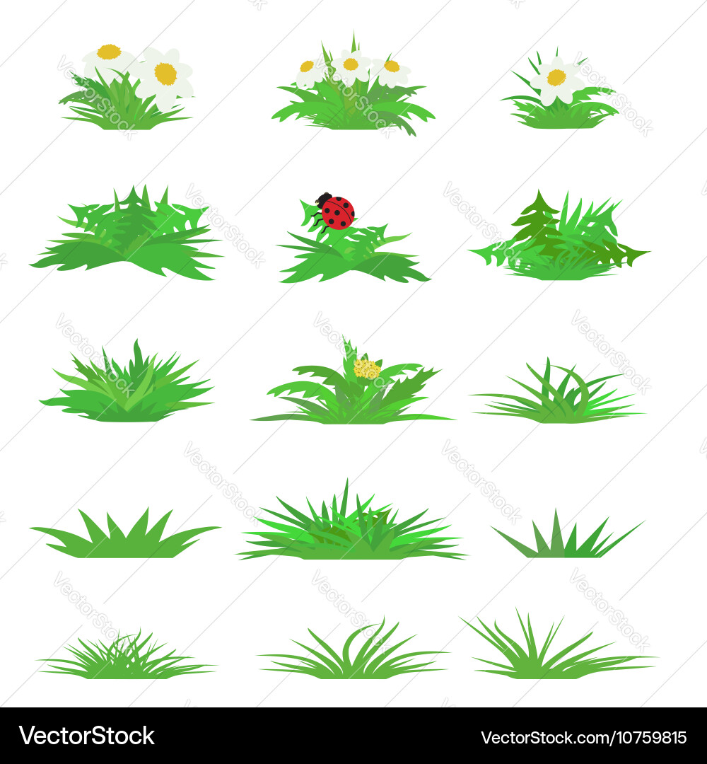 Set of tufts grass Royalty Free Vector Image - VectorStock