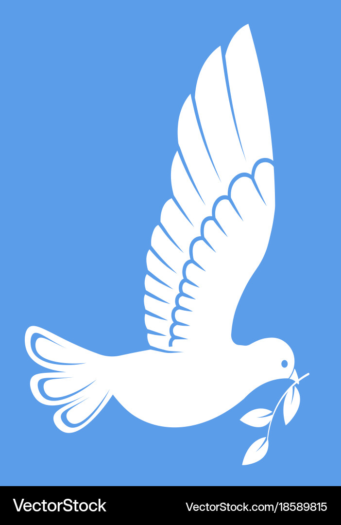 Simple white pigeon dove Royalty Free Vector Image