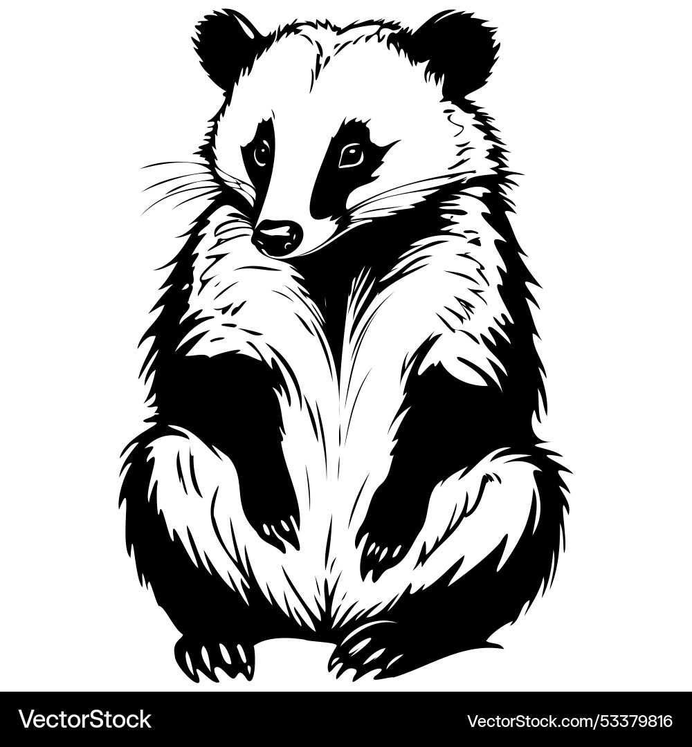 Badger sitting vintage hand drawn animal Vector Image
