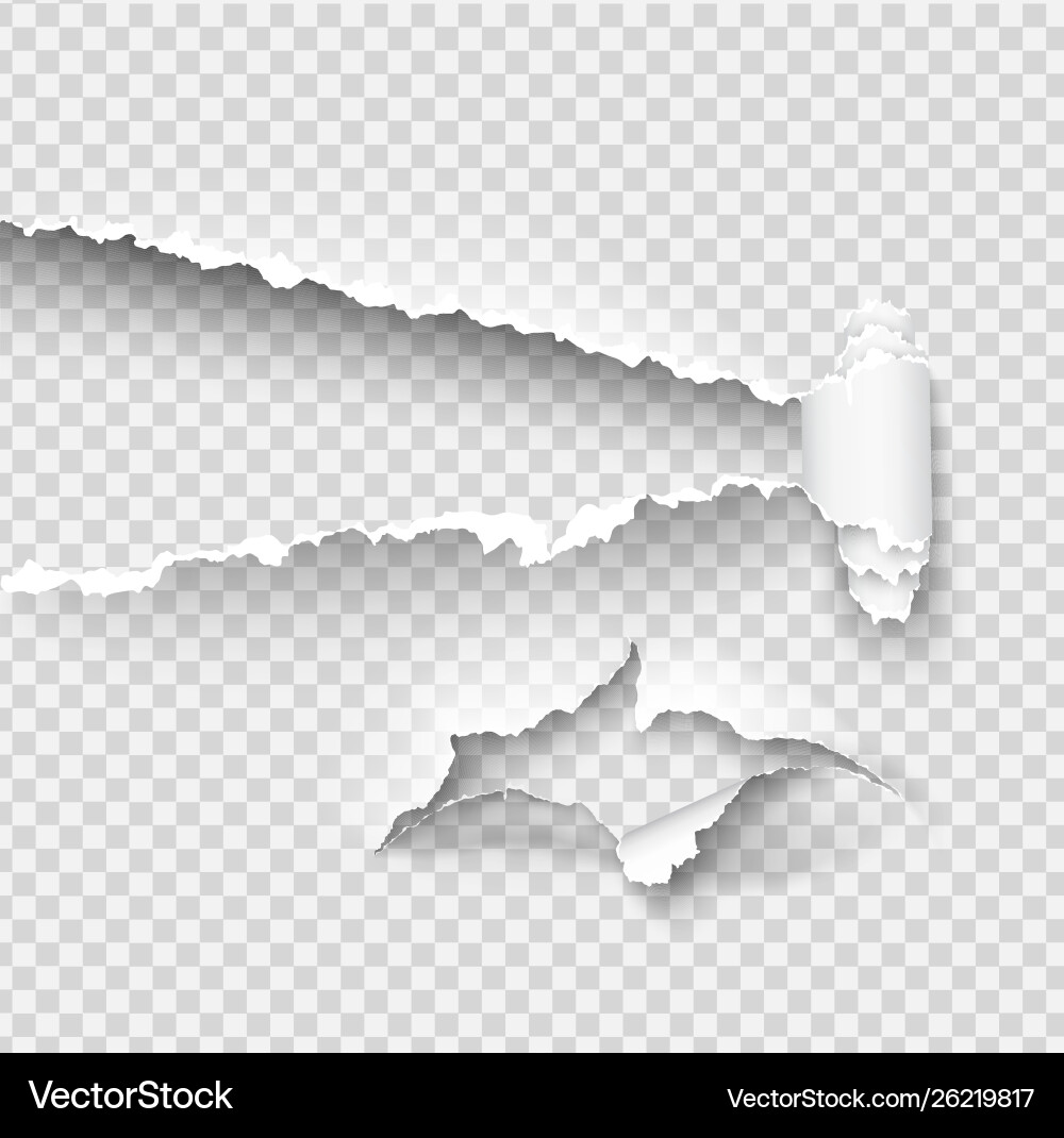 Torn ripped paper template sides Royalty Free Vector Image
