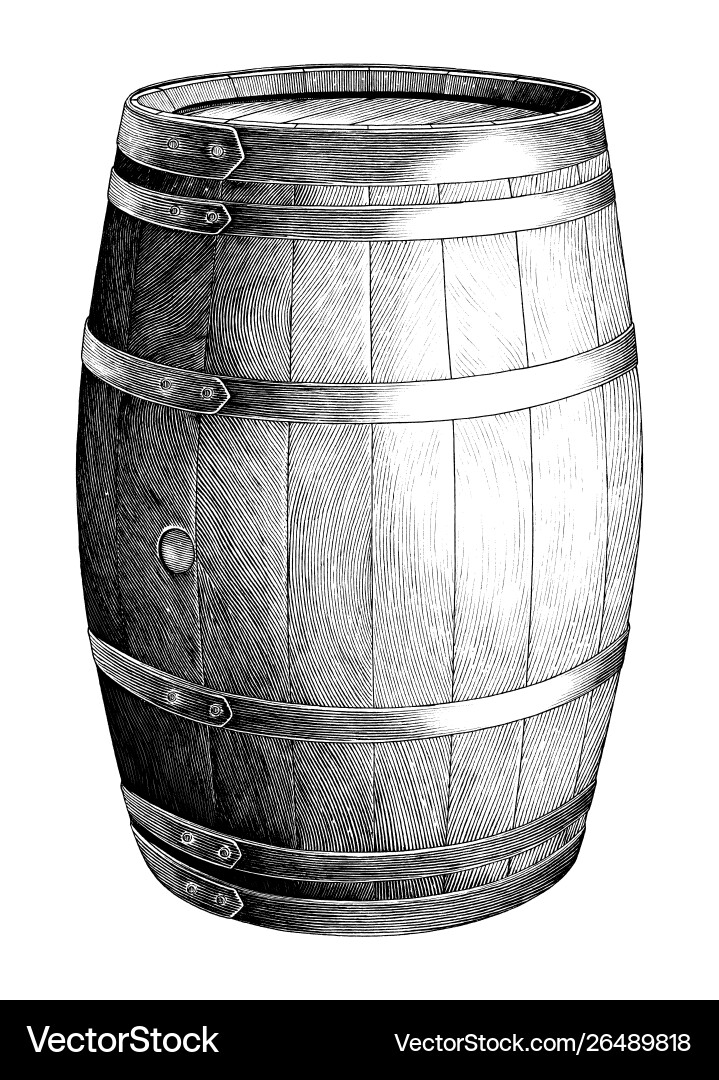 Antique engraving oak barrel hand drawing Vector Image