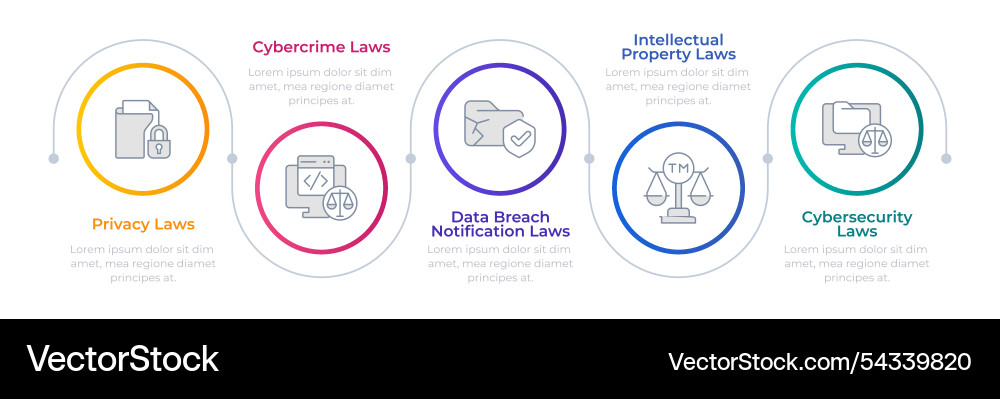 Cybersecurity regulation law infographic 5 steps Vector Image