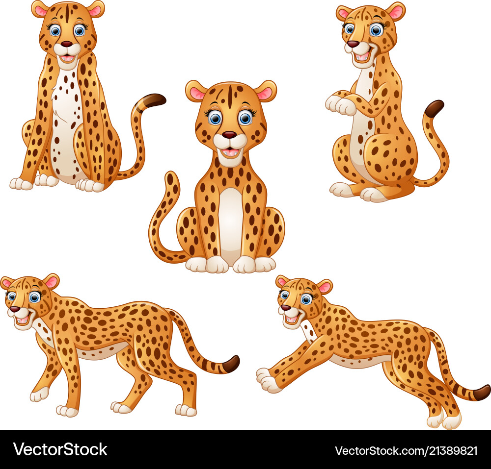 Leopard cartoon set collection Royalty Free Vector Image