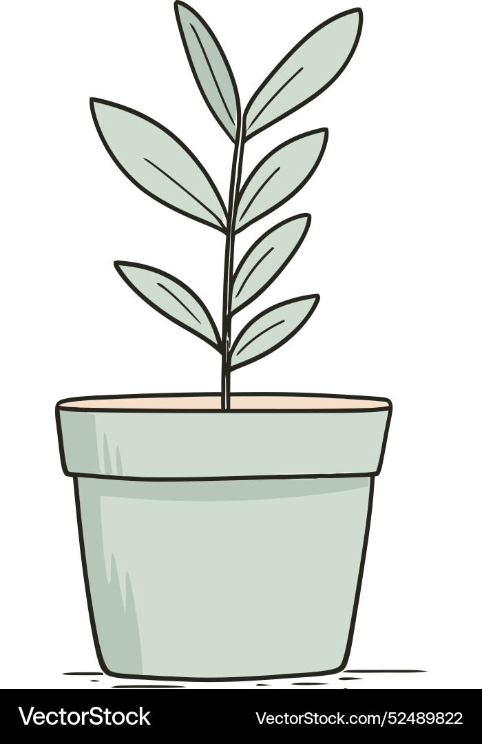 Botanical odyssey exploring plants in greener Vector Image