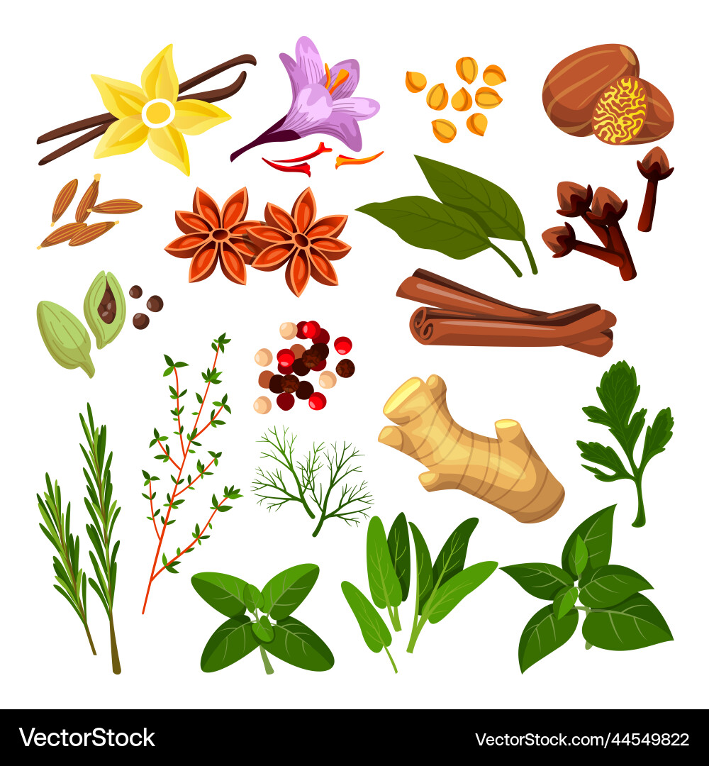 Spices herbs set flat cartoon Royalty Free Vector Image