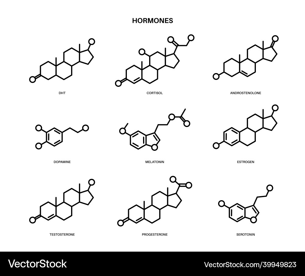 Hormones molecular formula Royalty Free Vector Image