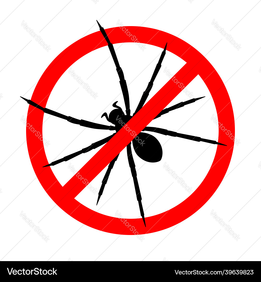 No spiders Royalty Free Vector Image - VectorStock