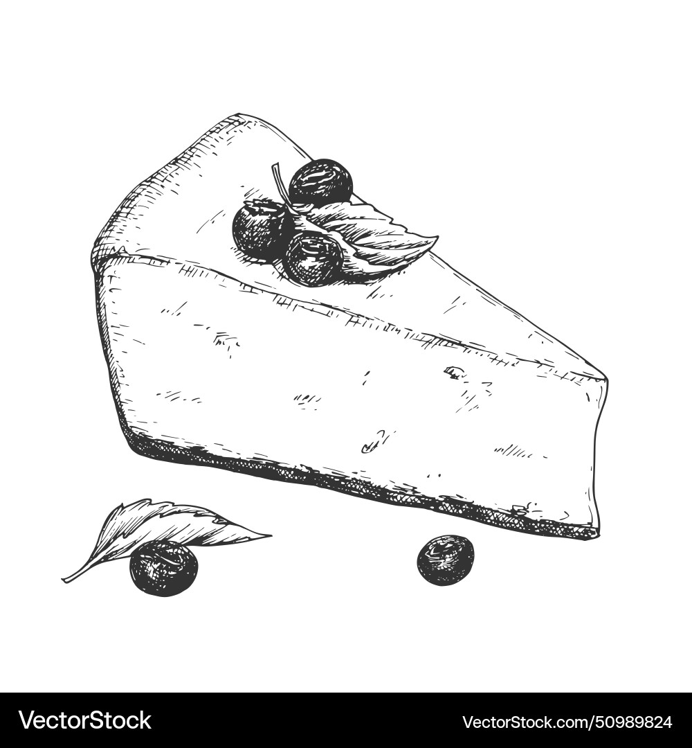 Hand drawn cheesecake piece with berries Vector Image