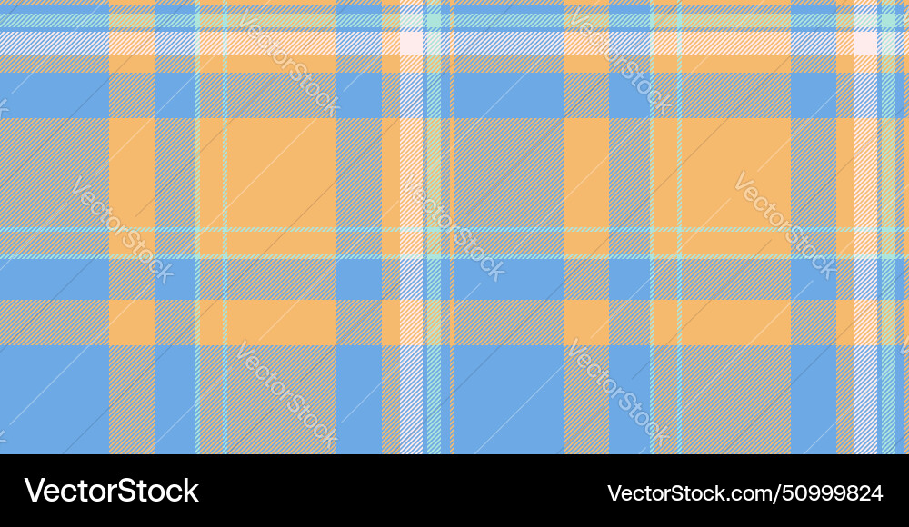 Large check fabric wool textile pattern tartan Vector Image
