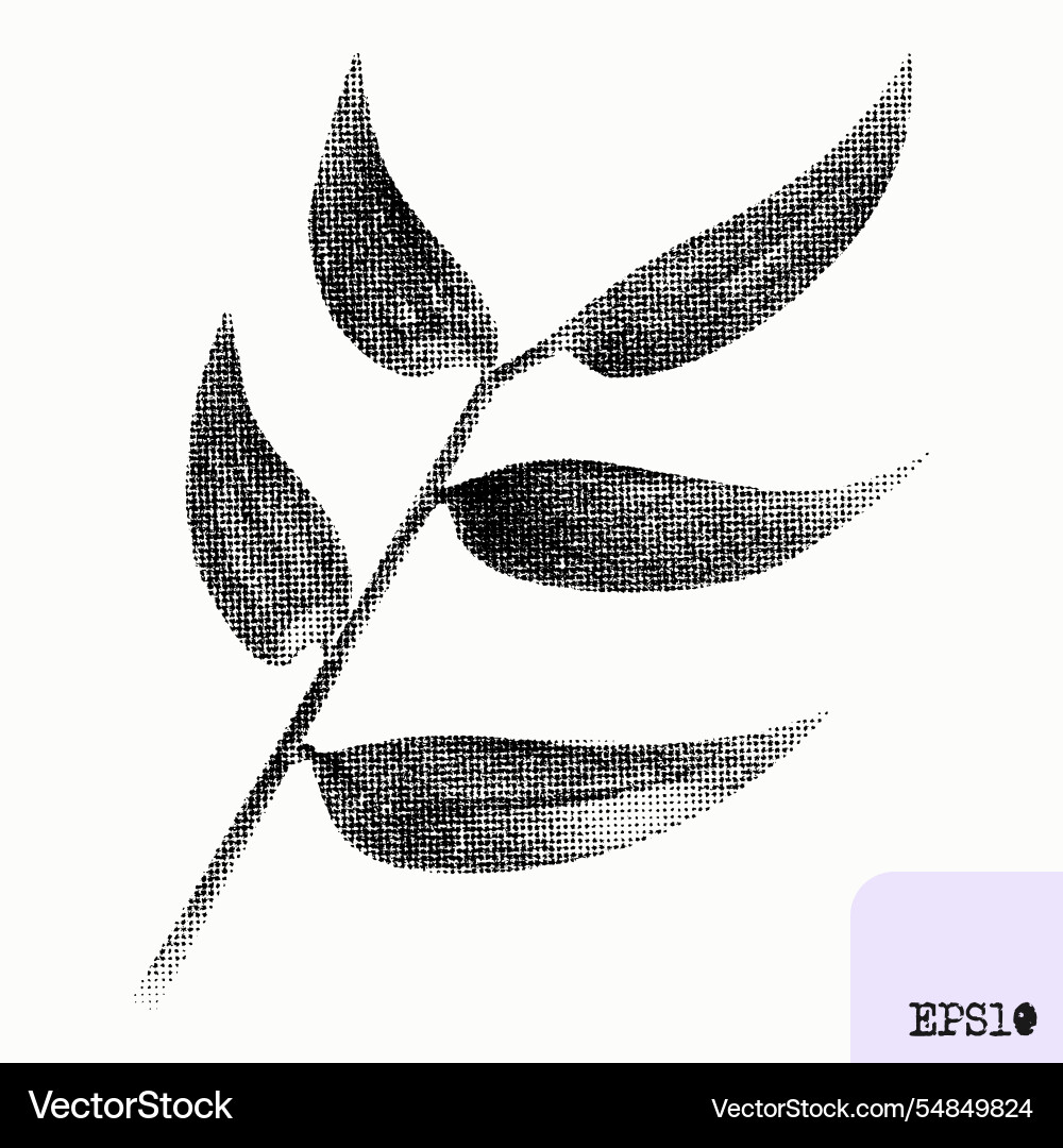 Twig with leaves spring plant graphic drawing Vector Image