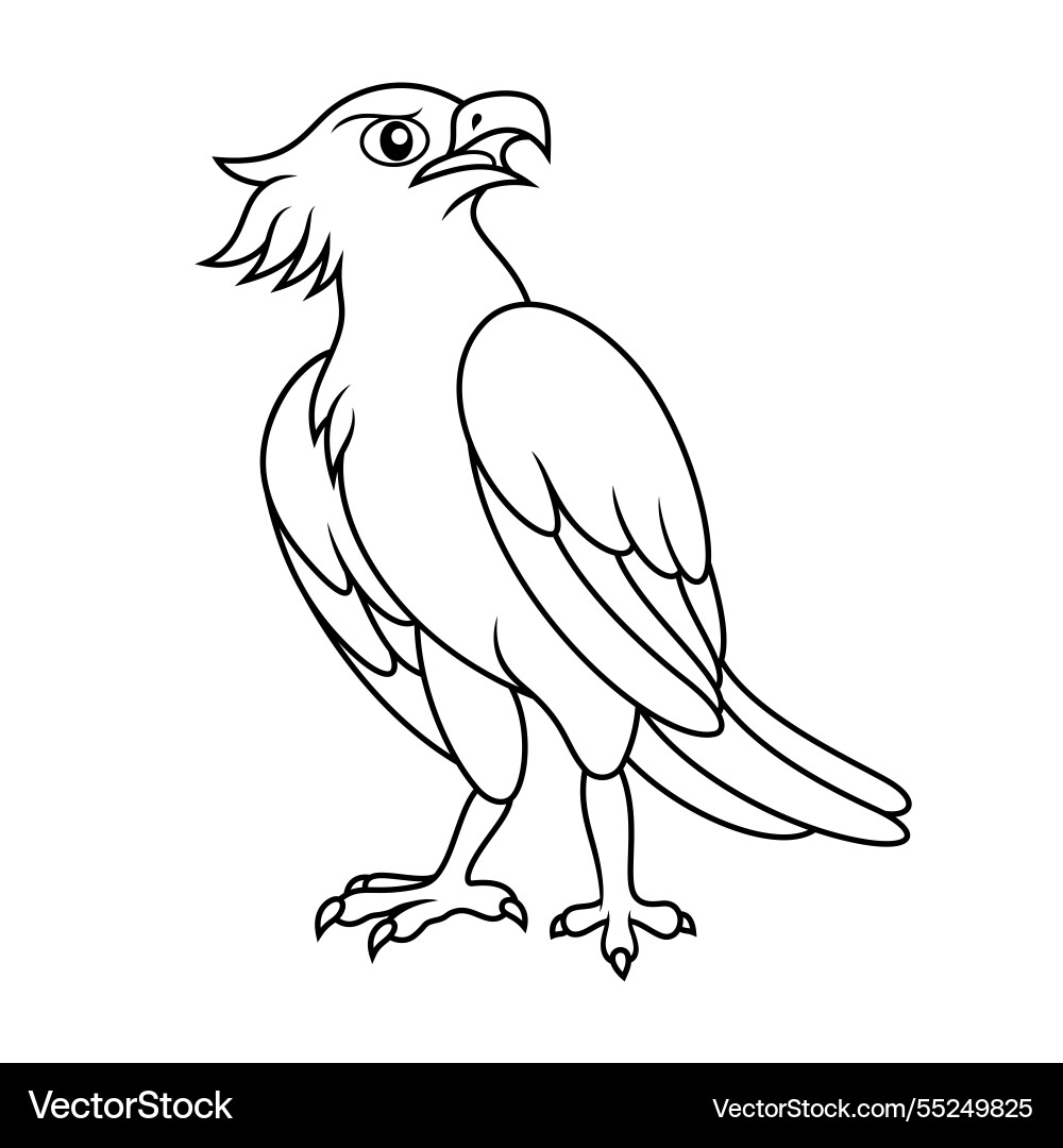Cartoon harpy eagle bird line art Royalty Free Vector Image