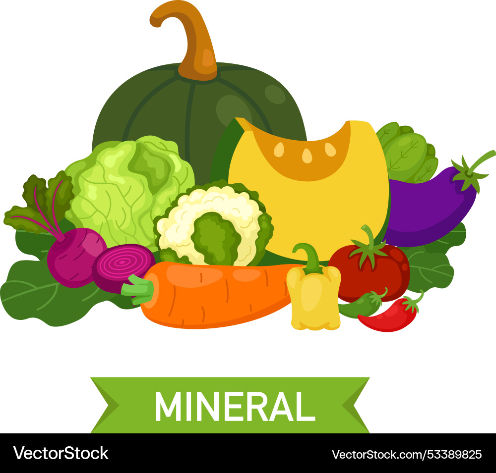 Mineral food group Royalty Free Vector Image - VectorStock