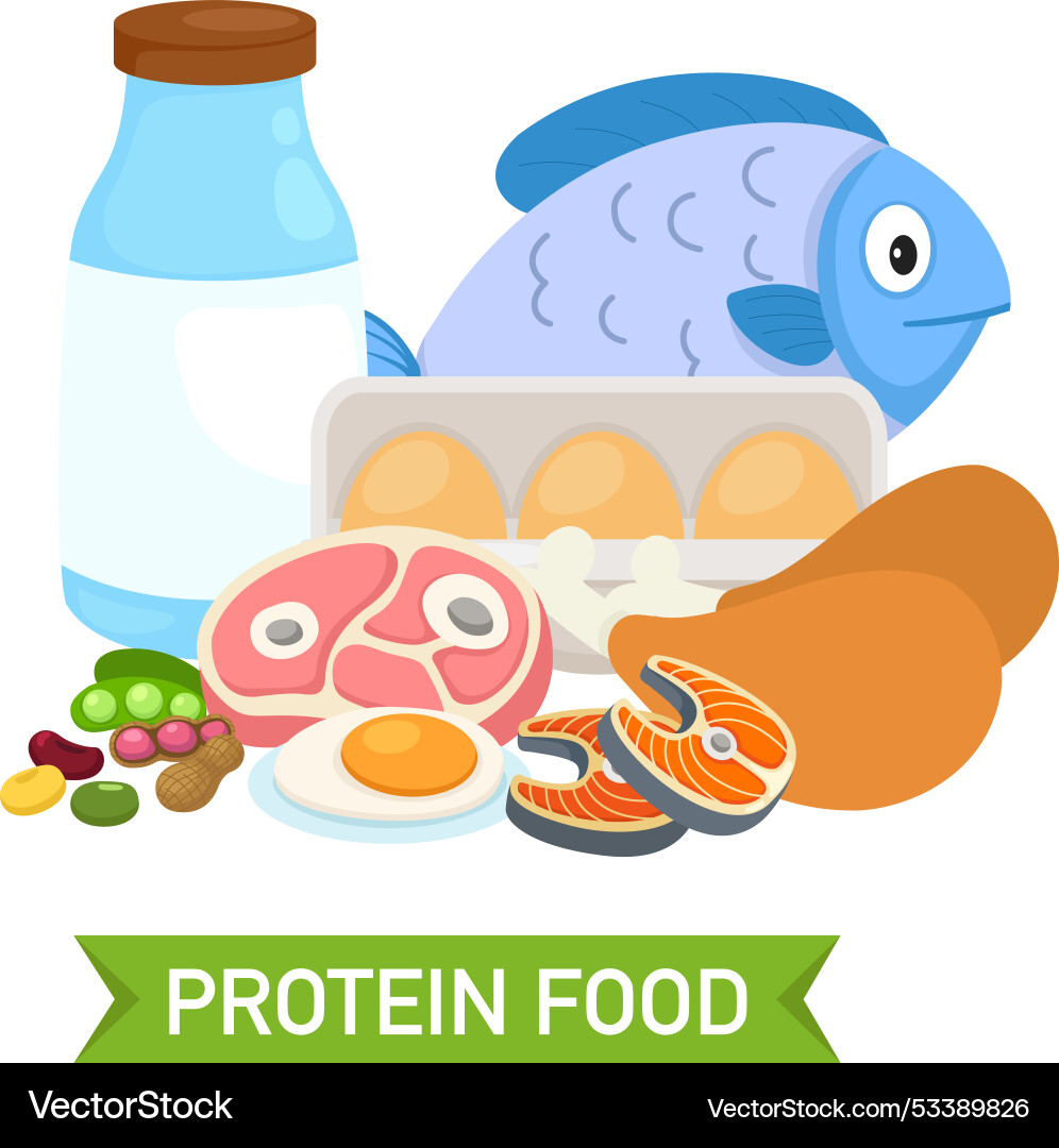 Protein food group Royalty Free Vector Image - VectorStock