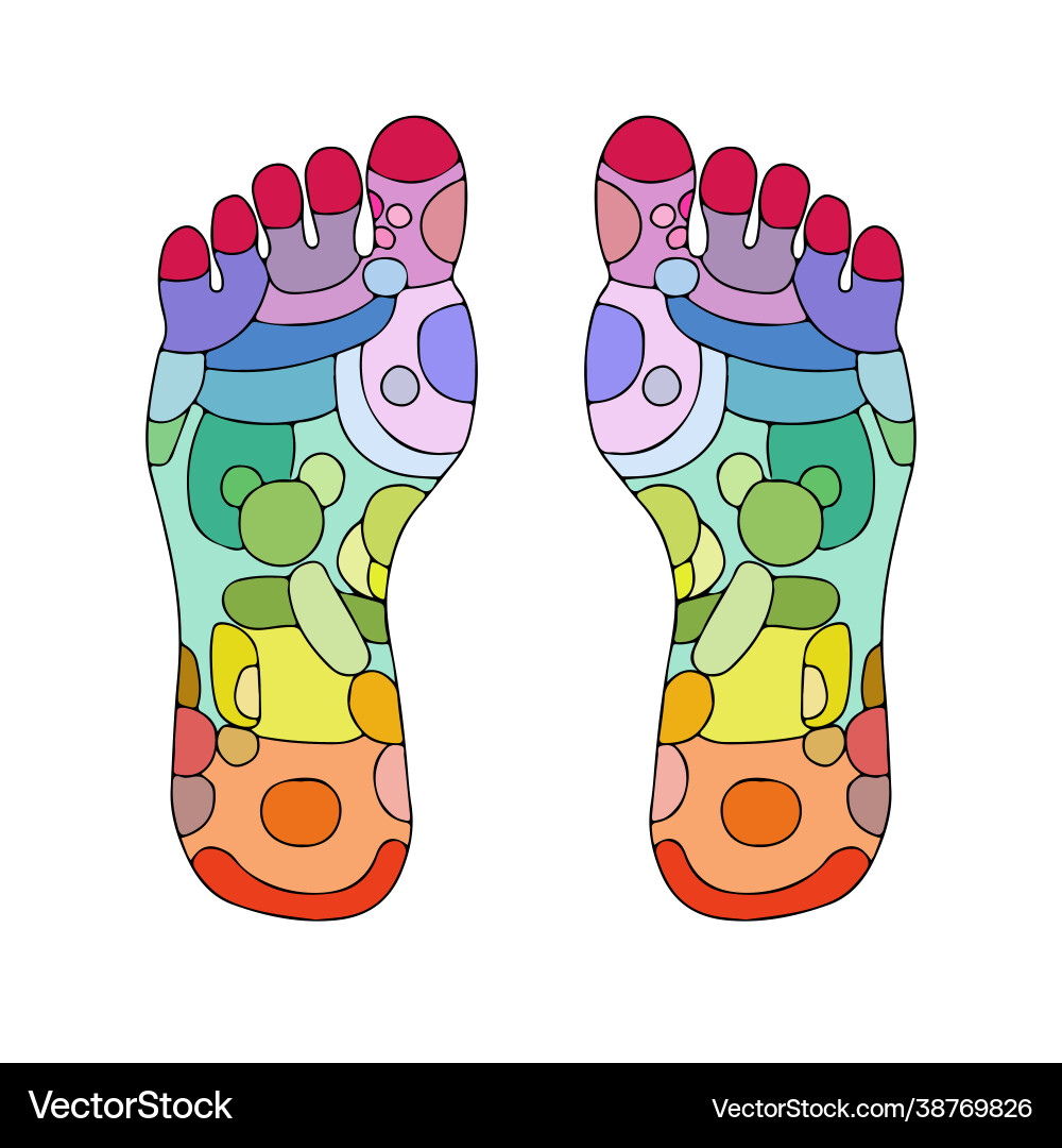 Reflexology foot Royalty Free Vector Image - VectorStock