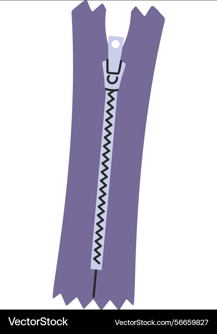 Hand Drawn Zipper Detail Royalty Free Vector Image
