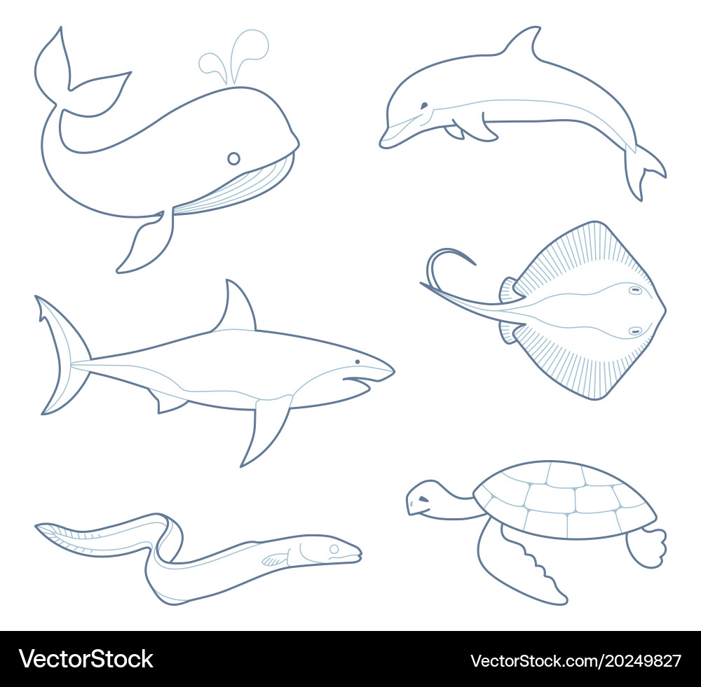 Outlines of sea creatures Royalty Free Vector Image