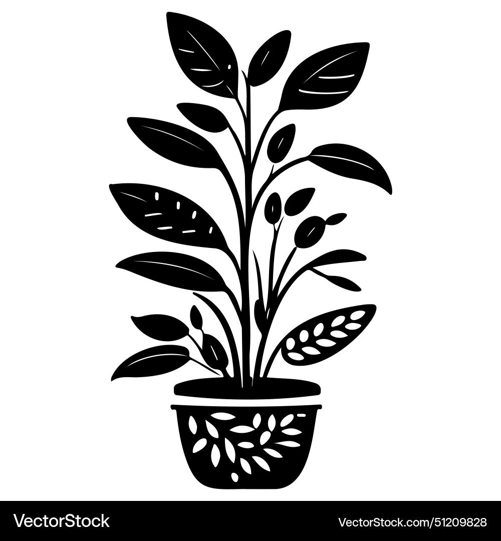 Plant pot sketch hand draw Royalty Free Vector Image