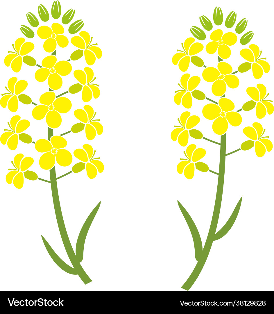 Rape Royalty Free Vector Image - VectorStock