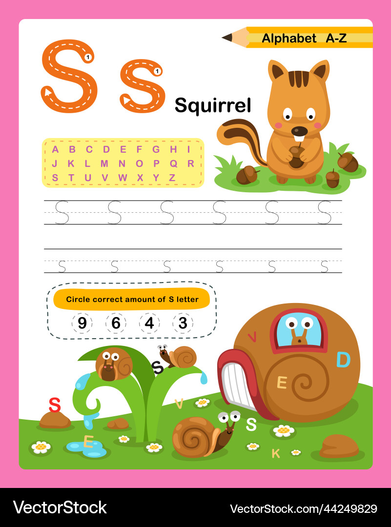 Alphabet letter s - squirrel exercise Royalty Free Vector