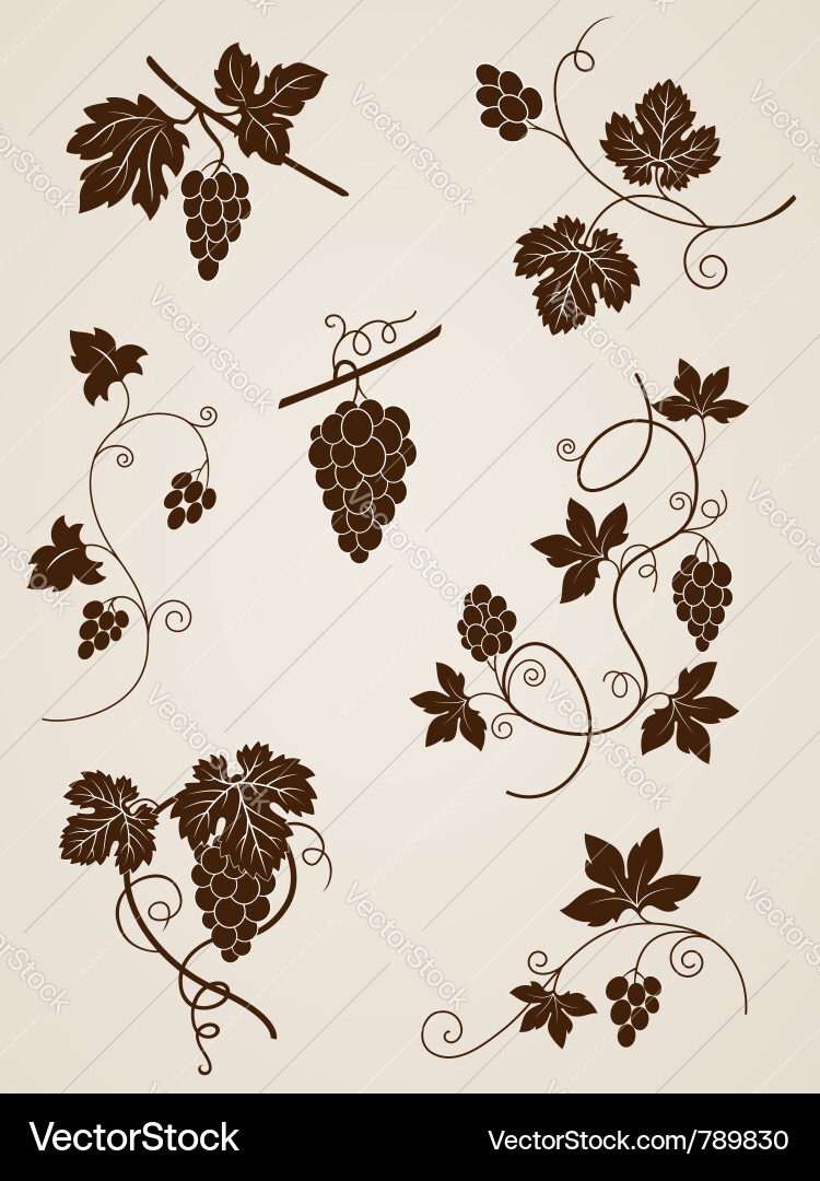 Grape Leaf Vector Images (over 24,000)