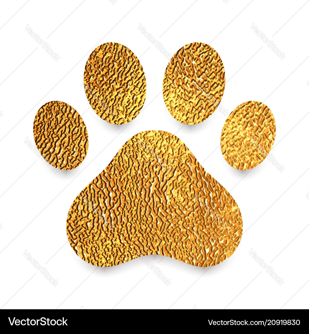 Golden animal paw print Royalty Free Vector Image