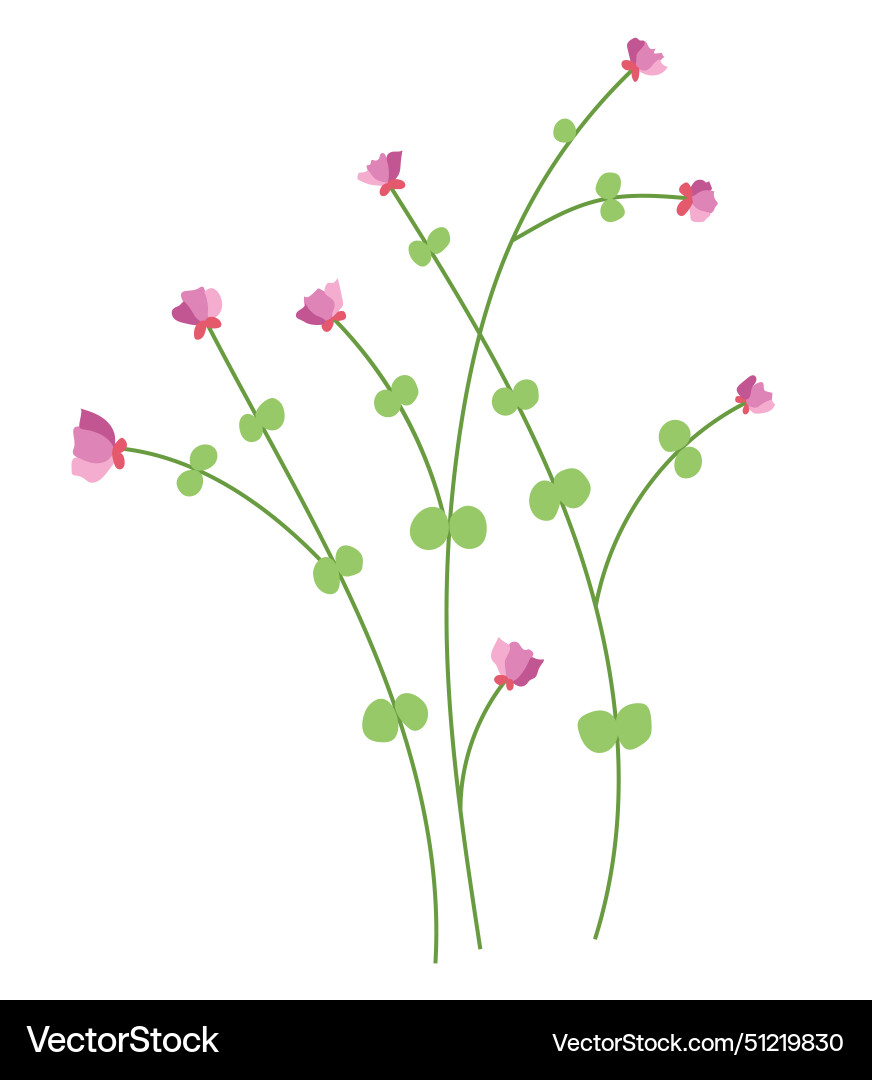 Pink wildflower in flat design blooming delicate Vector Image