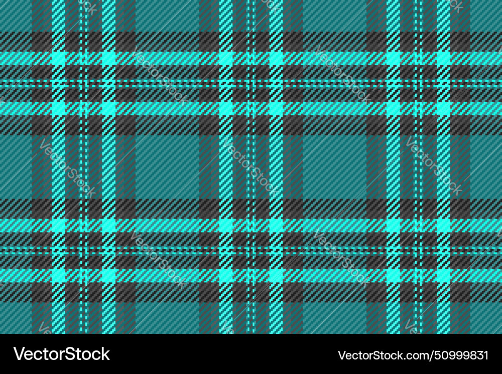 Hat check fabric craft background tartan textile Vector Image