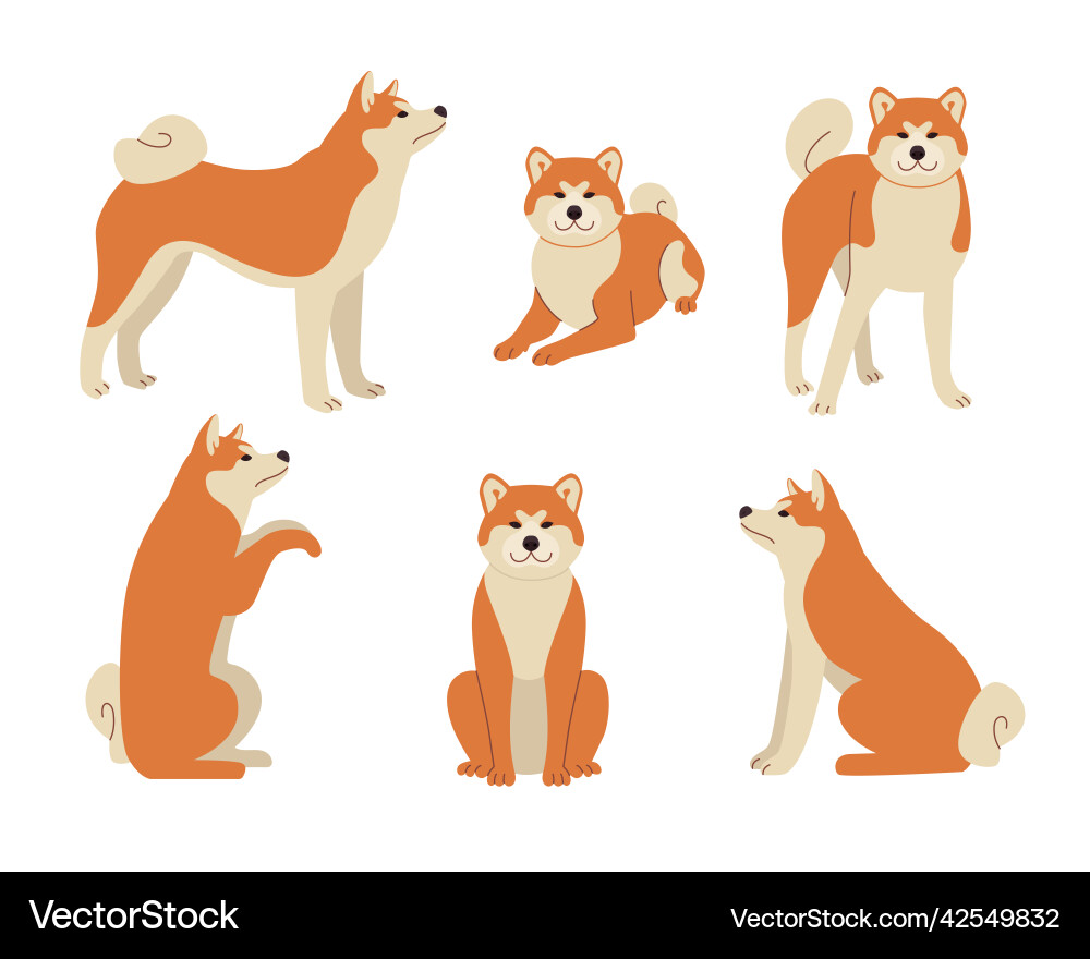 Cute comic shiba inu in different poses set Vector Image