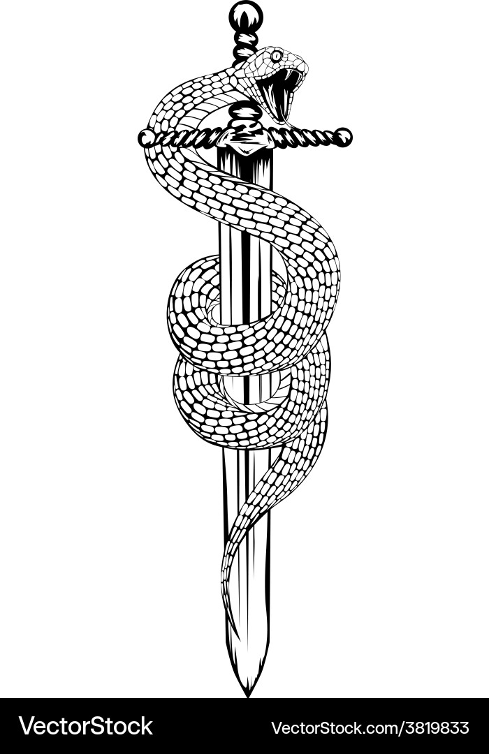 Snake Sword Royalty Free Vector Image - VectorStock