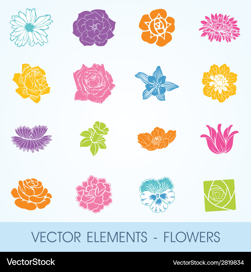 Elements - flowers Royalty Free Vector Image - VectorStock