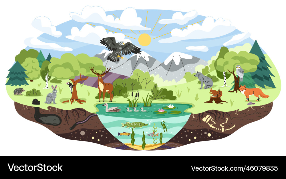 Concept of ecosystem Royalty Free Vector Image