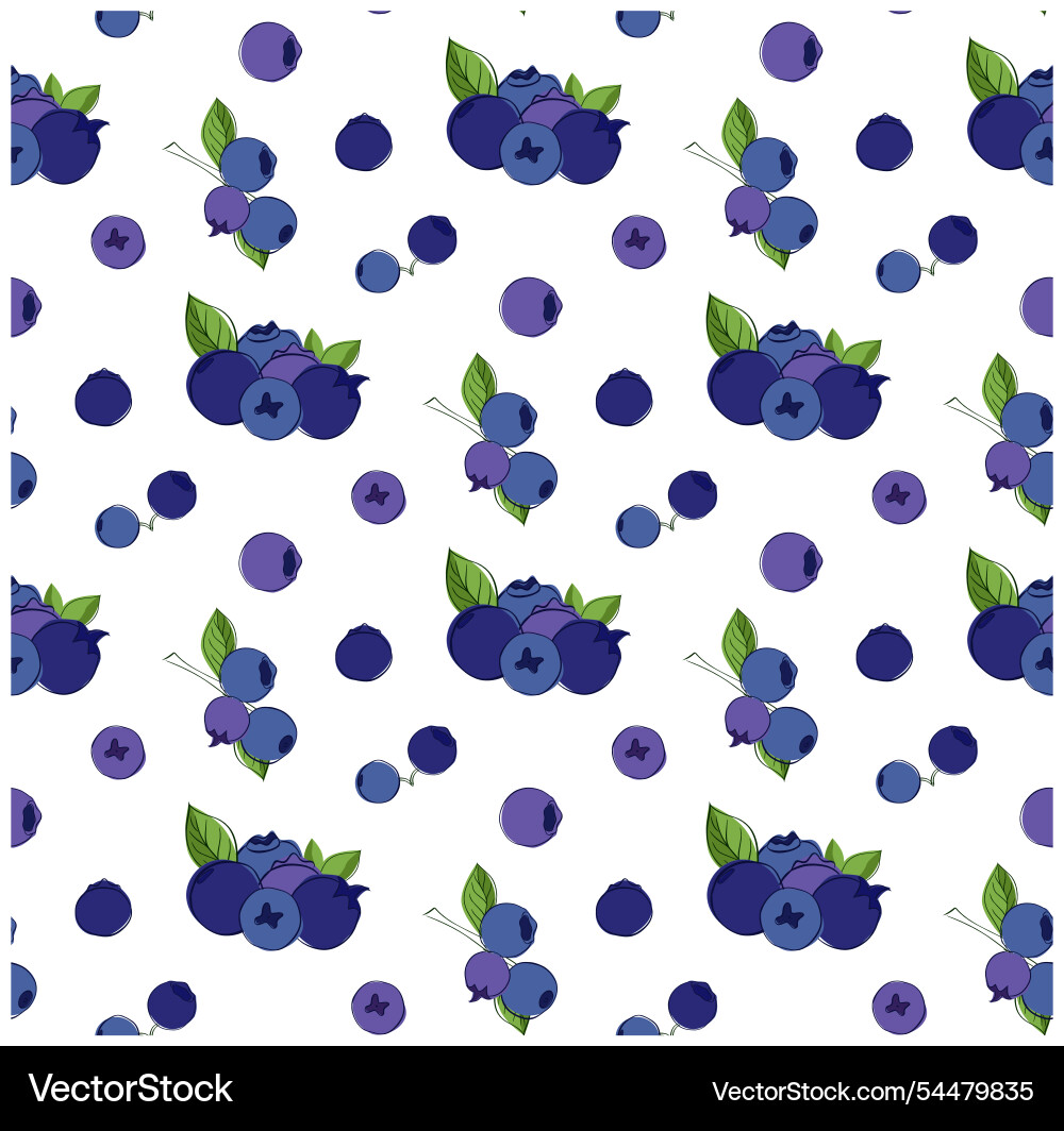 Seamless blueberry pattern in graphic outline Vector Image