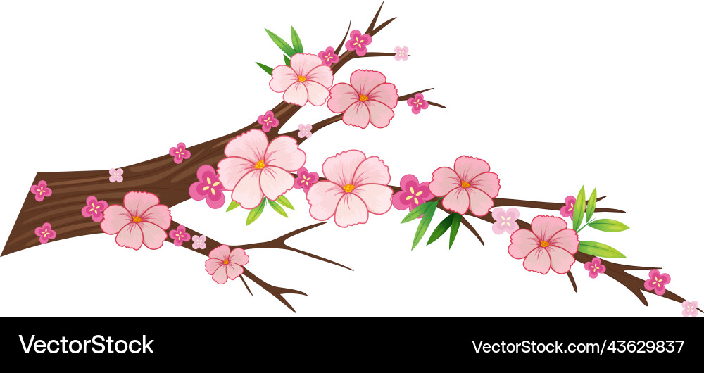 Cherry blossom branch isolated Royalty Free Vector Image