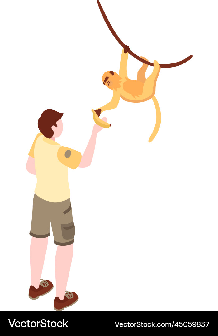 Feeding monkey zoo composition Royalty Free Vector Image