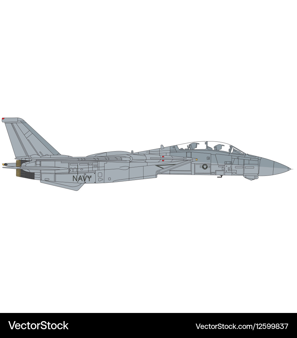 Tomcat Royalty Free Vector Image - VectorStock