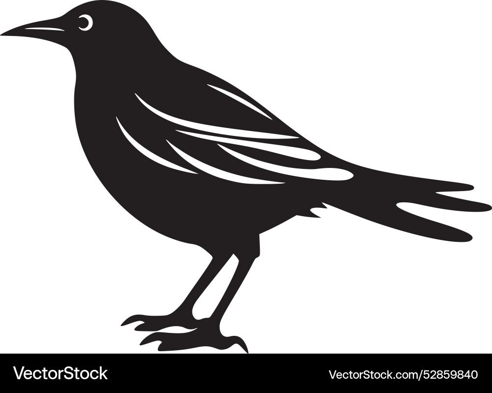 Crow - black and white isolated icon Royalty Free Vector