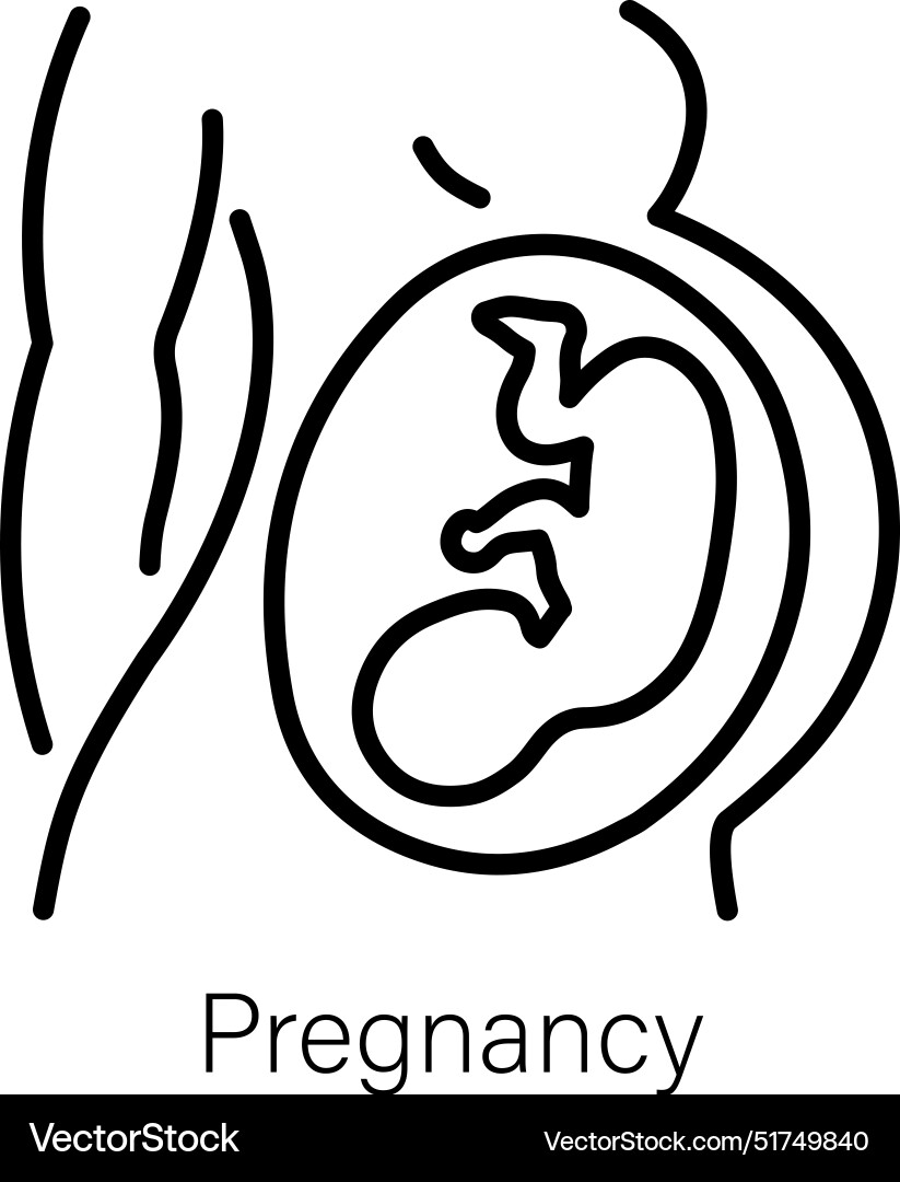 Pregnancy Royalty Free Vector Image - VectorStock