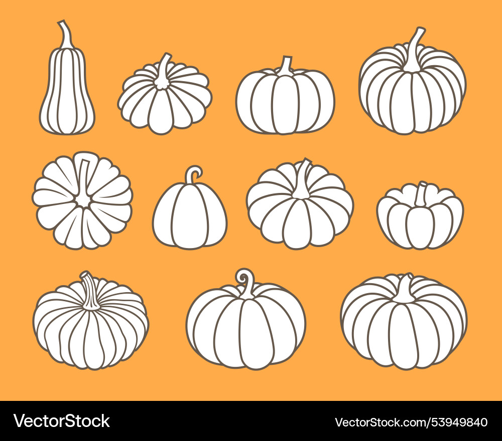 Pumpkin Royalty Free Vector Image - VectorStock