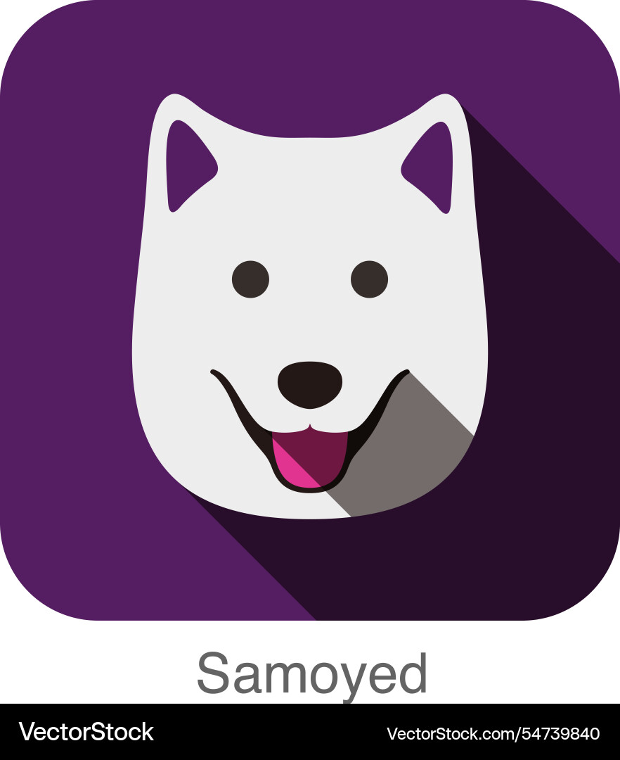 Samoyed dog face flat design Royalty Free Vector Image
