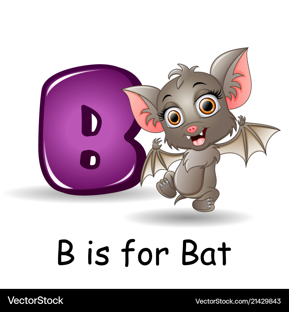Animals alphabet b is for bats Royalty Free Vector Image