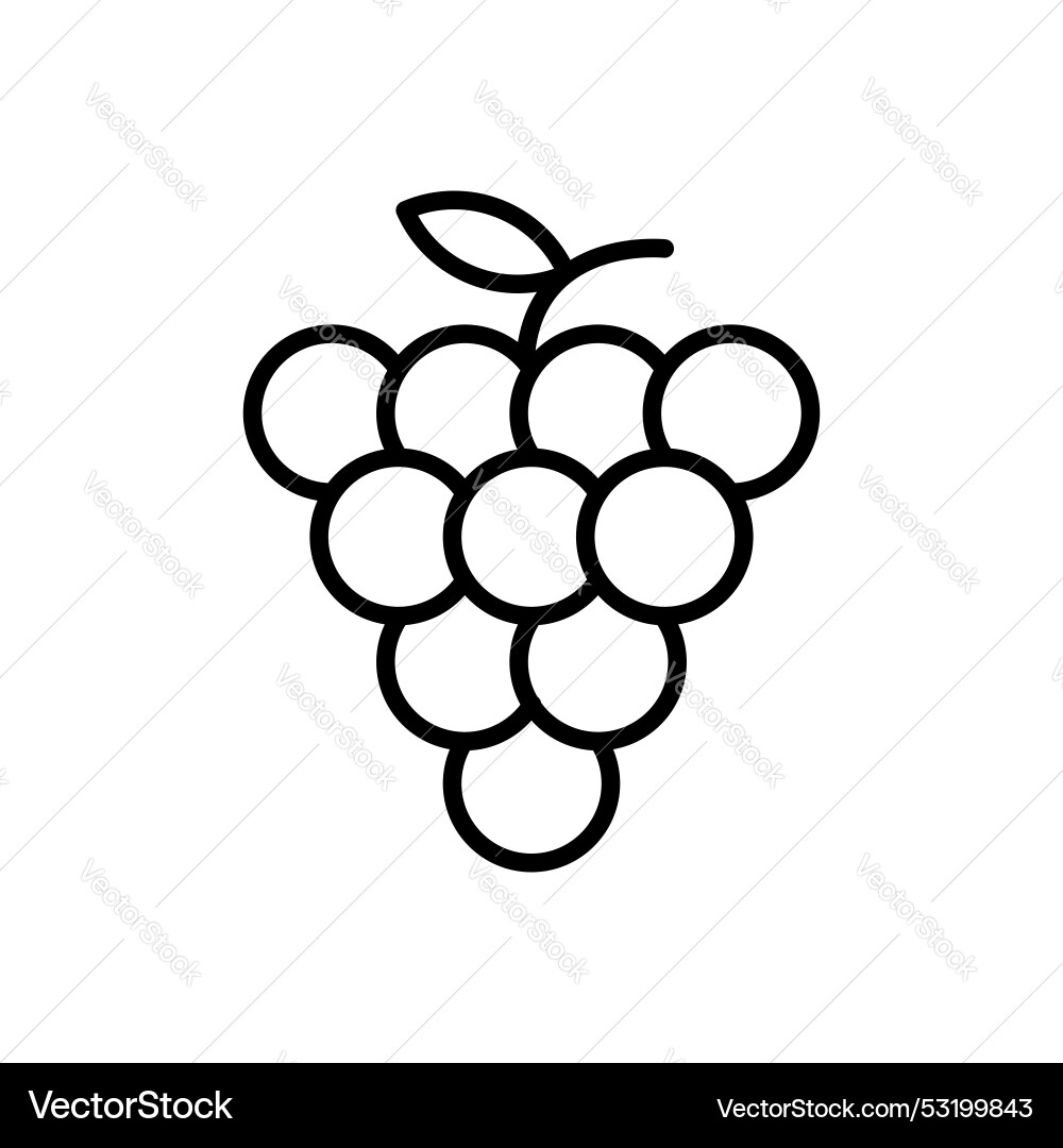 Grape icon set wine vineyard berry cluster symbol Vector Image