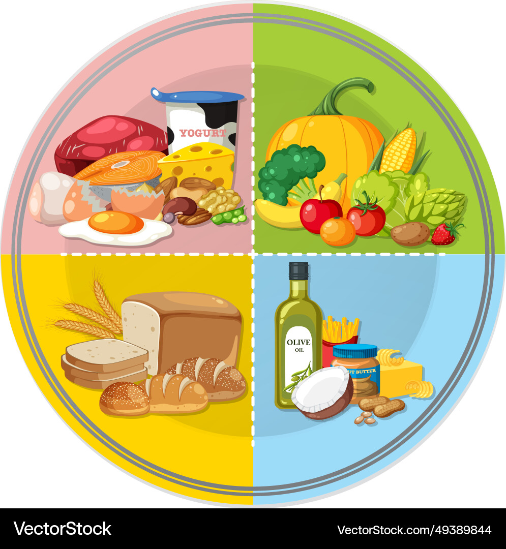 Healthy eating plate with portion of fruits Vector Image