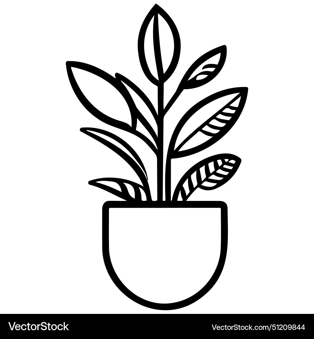 Plant pot sketch hand draw Royalty Free Vector Image