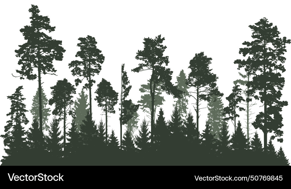 Beautiful landscape silhouette Royalty Free Vector Image