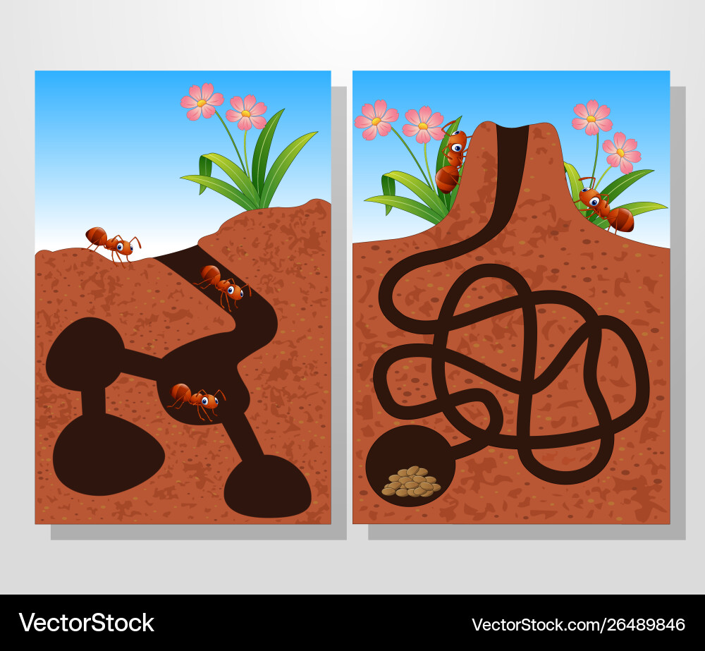 Cartoon ants colony collections set Royalty Free Vector